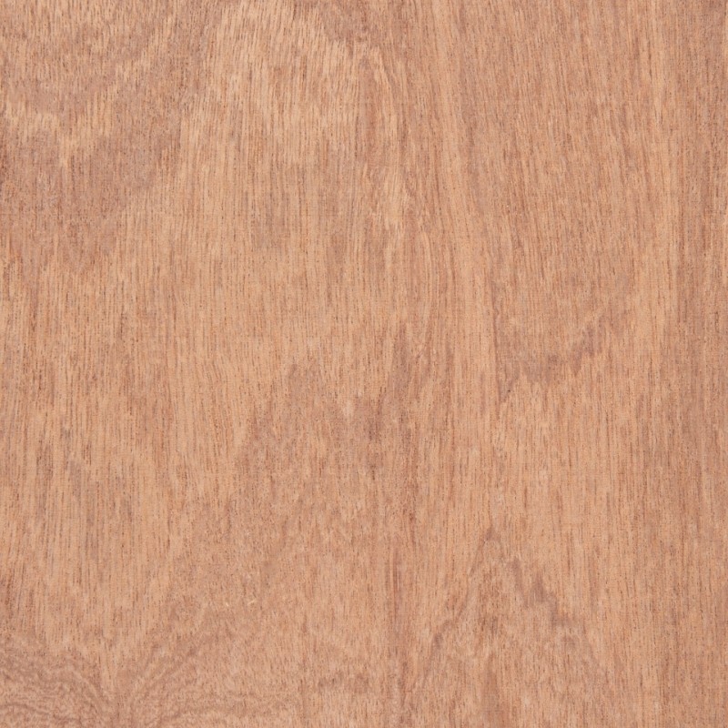 Meranti Triplex | Vochtwerend | Direct online bestellen bij Adzaagt