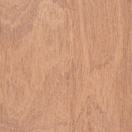 Meranti Triplex | Vochtwerend | Direct online bestellen bij Adzaagt